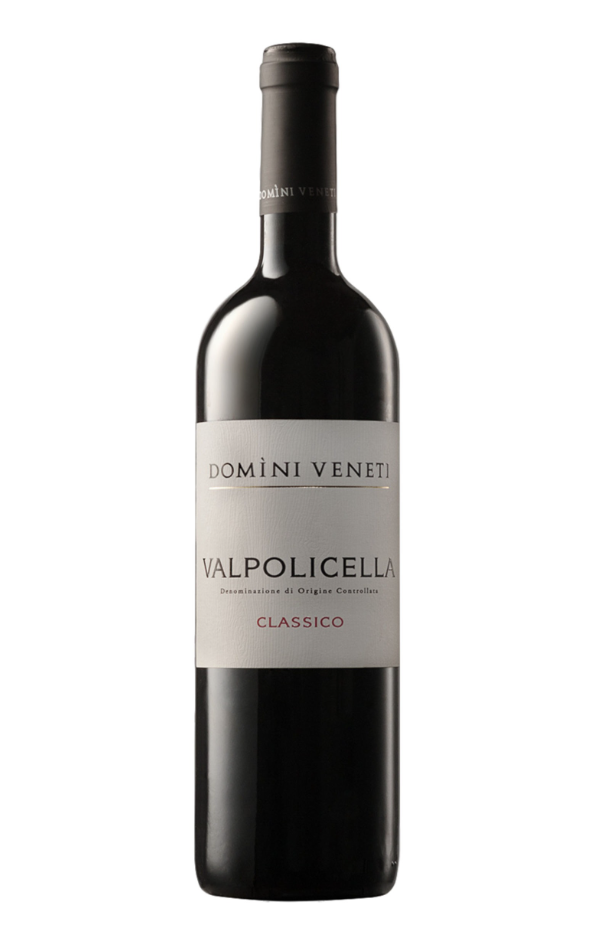 2019 Domini Veneti Valpolicella 375ml